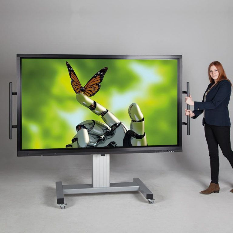 Grote beeldschermen, ook met daglicht een perfecte beeldweergave ...